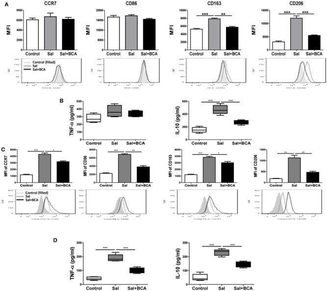 CD206 Antibody, FITC (MA5-16870)