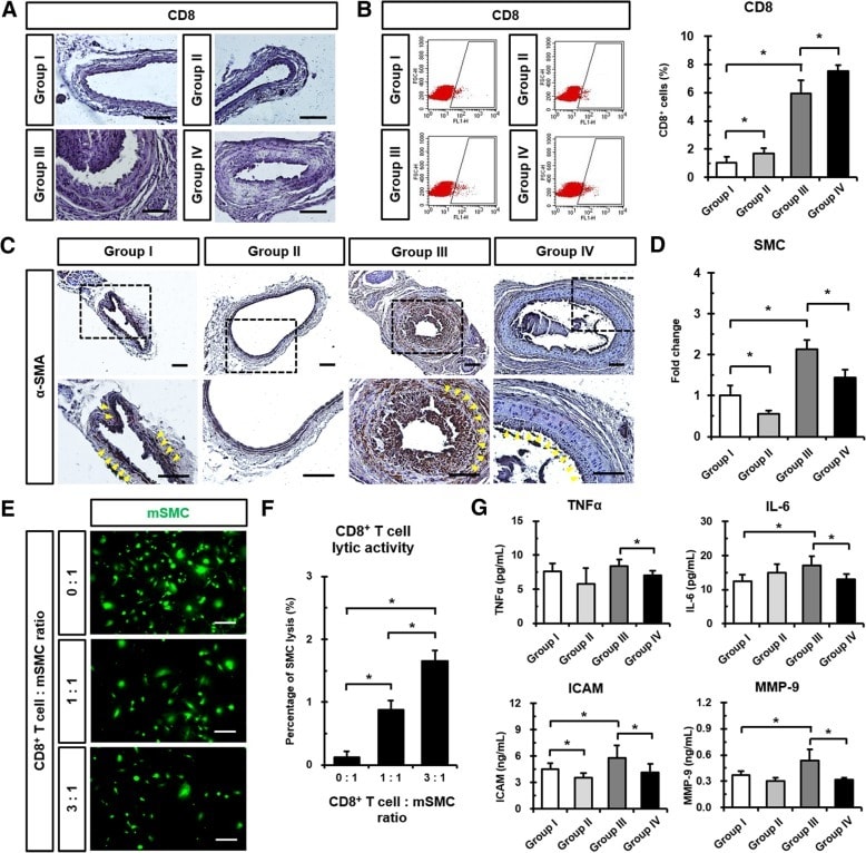 CD8a Antibody (14-0081-82)