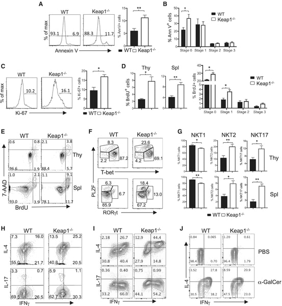 CD326 (EpCAM) Antibody (14-9326-82)