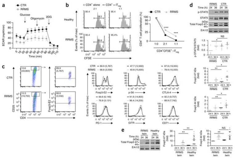 FOXP3 Antibody, Alexa Fluor™ 488 (53-4776-42)