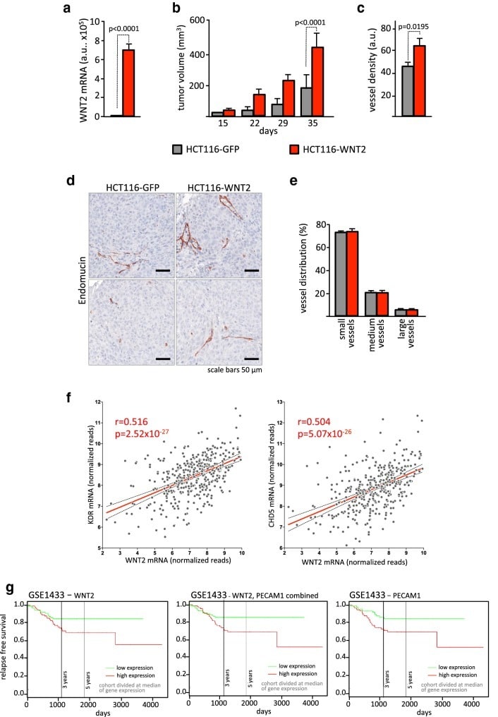 Endomucin Antibody, eFluor™ 660 (50-5851-82)