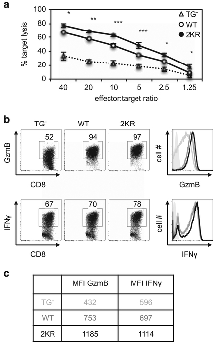 Granzyme B Antibody, PE (GRB04)
