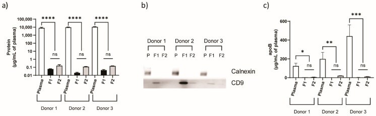 CD9 Antibody (10626D)
