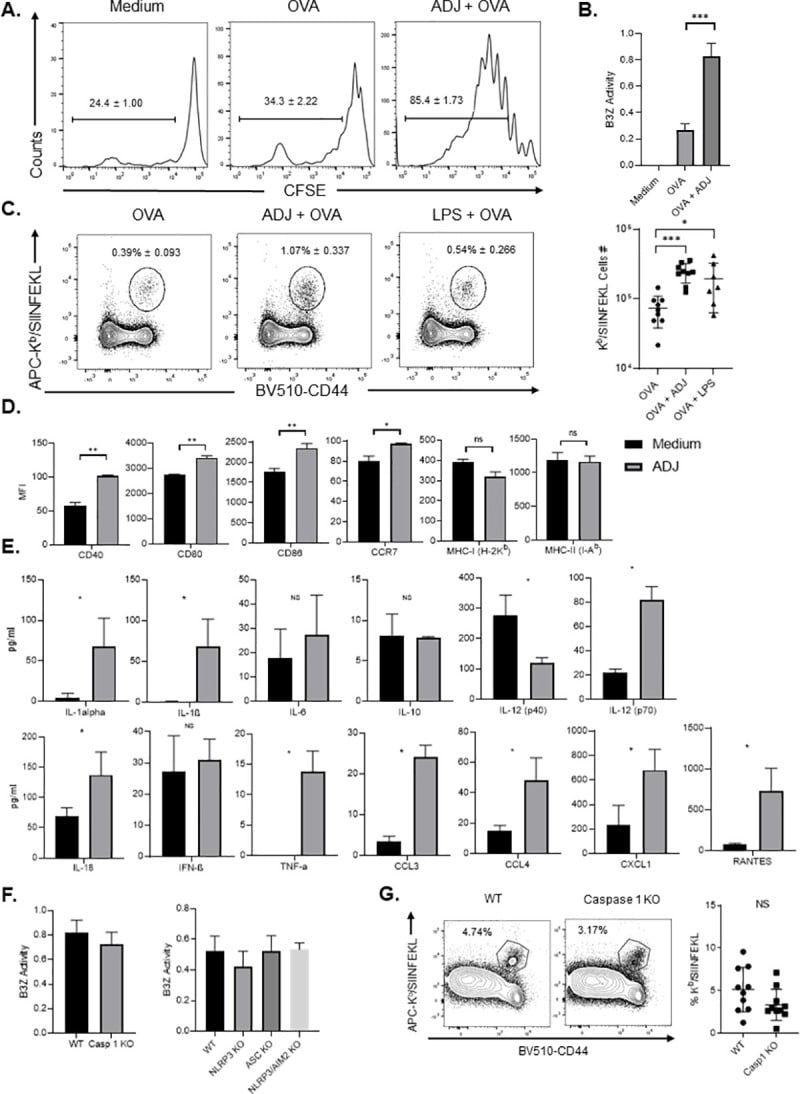 CD197 (CCR7) Antibody, PE-eFluor® 610 (61-1971-82)