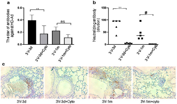 CD45R (B220) Antibody (14-0452-82)