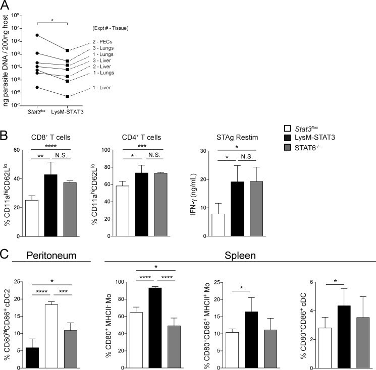 CD80 (B7-1) Antibody, FITC (11-0801-82)