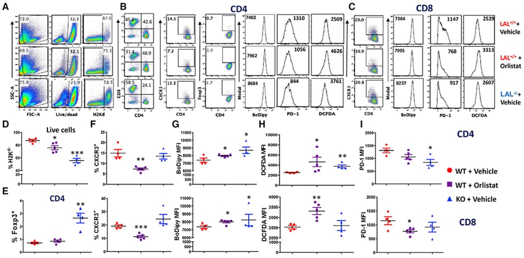 CD183 (CXCR3) Antibody, PE-Cyanine7 (25-1831-82)