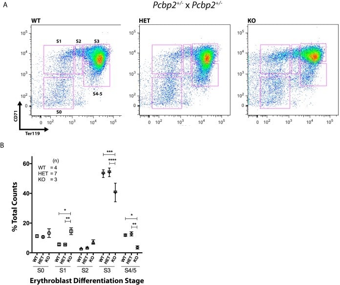 CD71 (Transferrin Receptor) Antibody (14-0711-82)